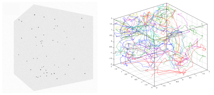 Visual 3D Tracking of Multiple Objects