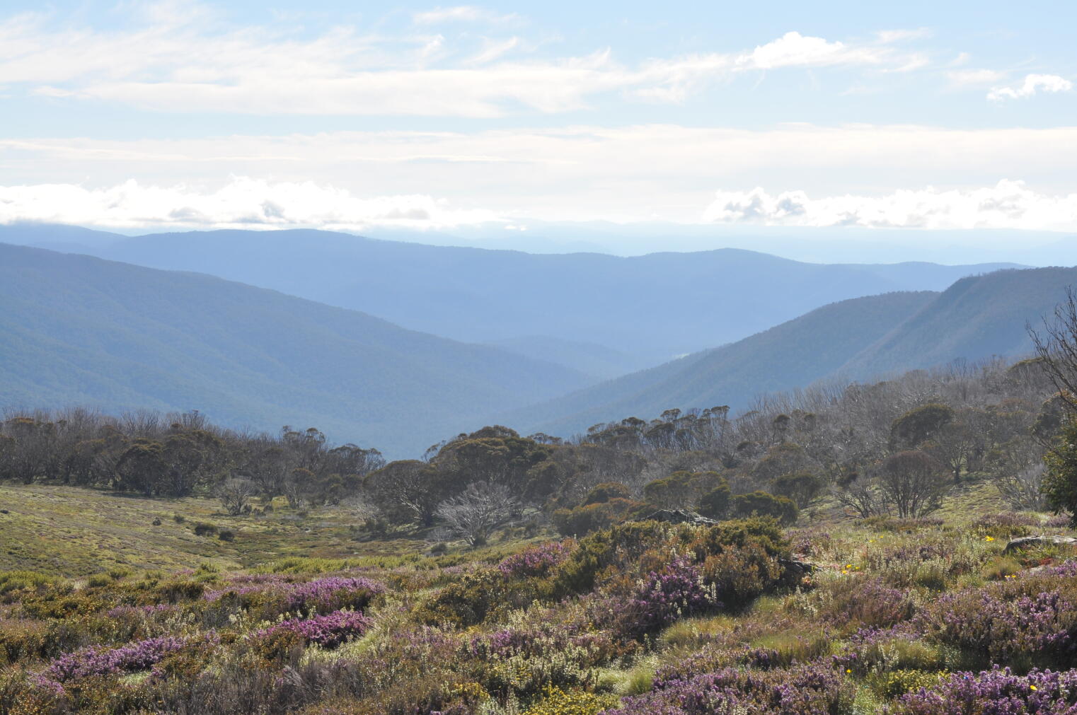 Home: Arbeitsgruppe Biosphäre-Atmosphäre Interaktion am Institut für ...