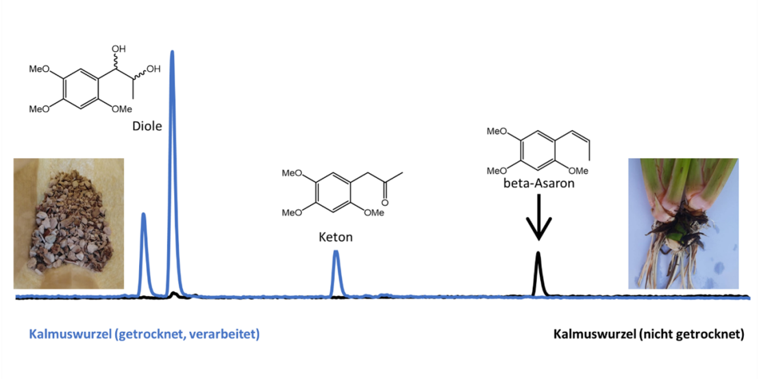 Institut für Lebensmittelchemie der WWU