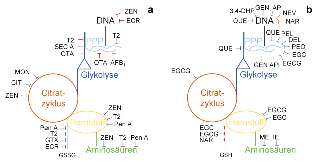 Institut für Lebensmittelchemie der Uni Münster