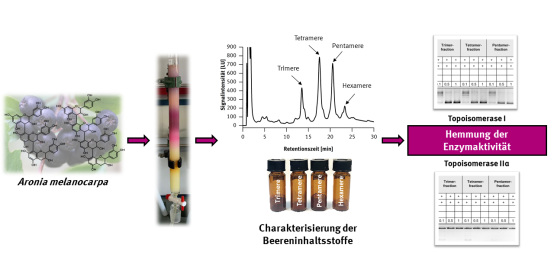 Institut für Lebensmittelchemie der WWU