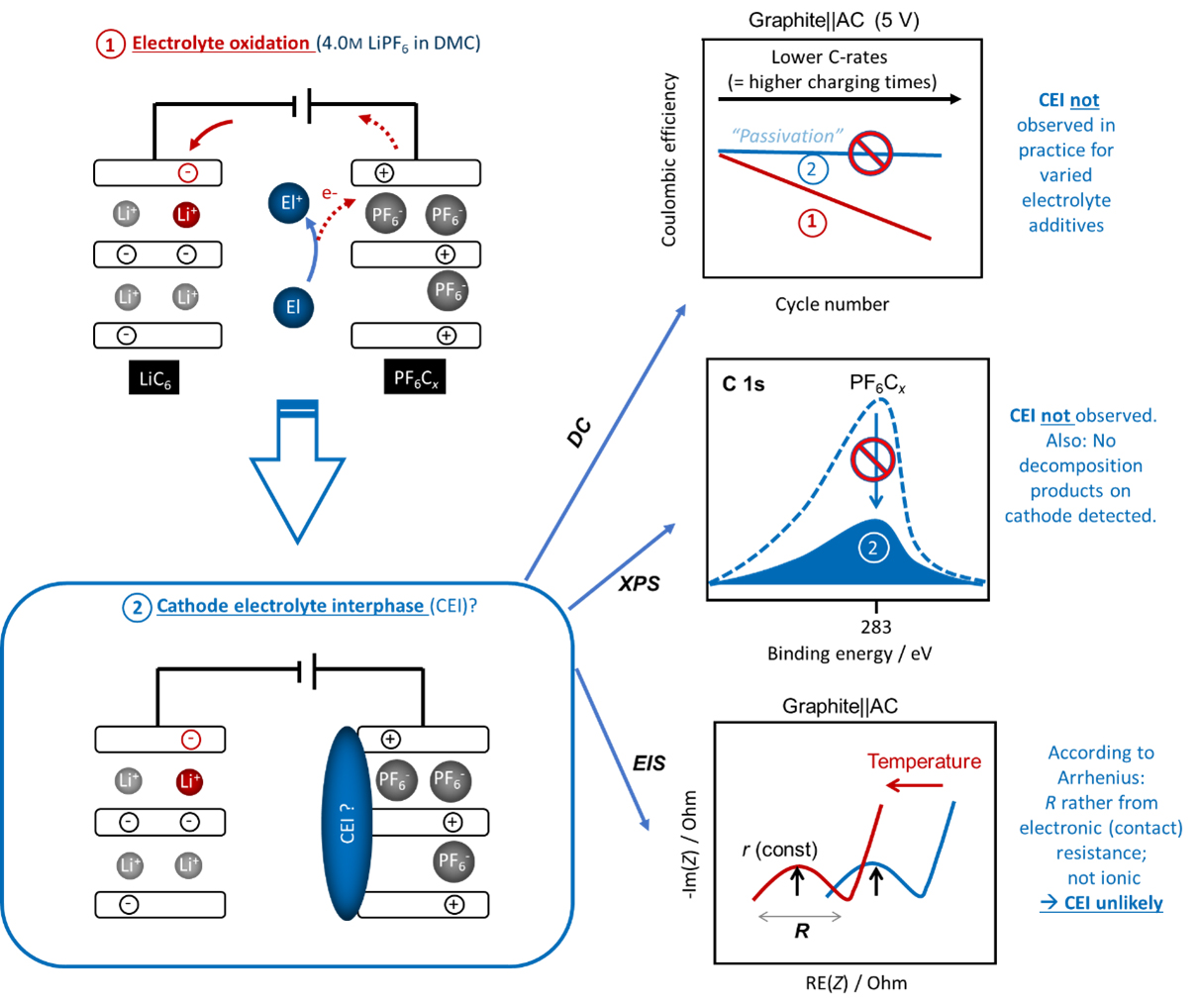 MEET - Existence of the Cathode Electrolyte Interphase in Dual-Ion ...