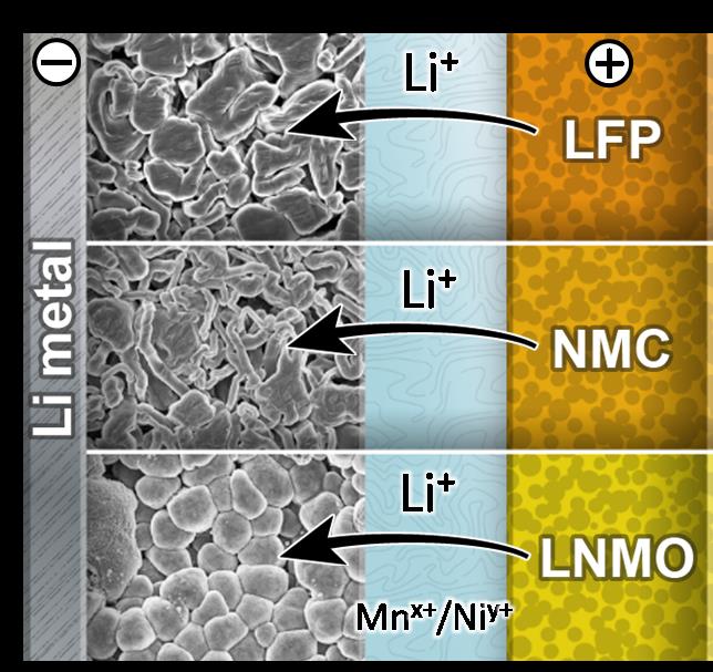 MEET - LMB Article 2019