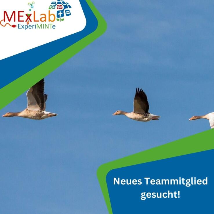 MExLab ExperiMINTe - MExLab ExperiMINTe