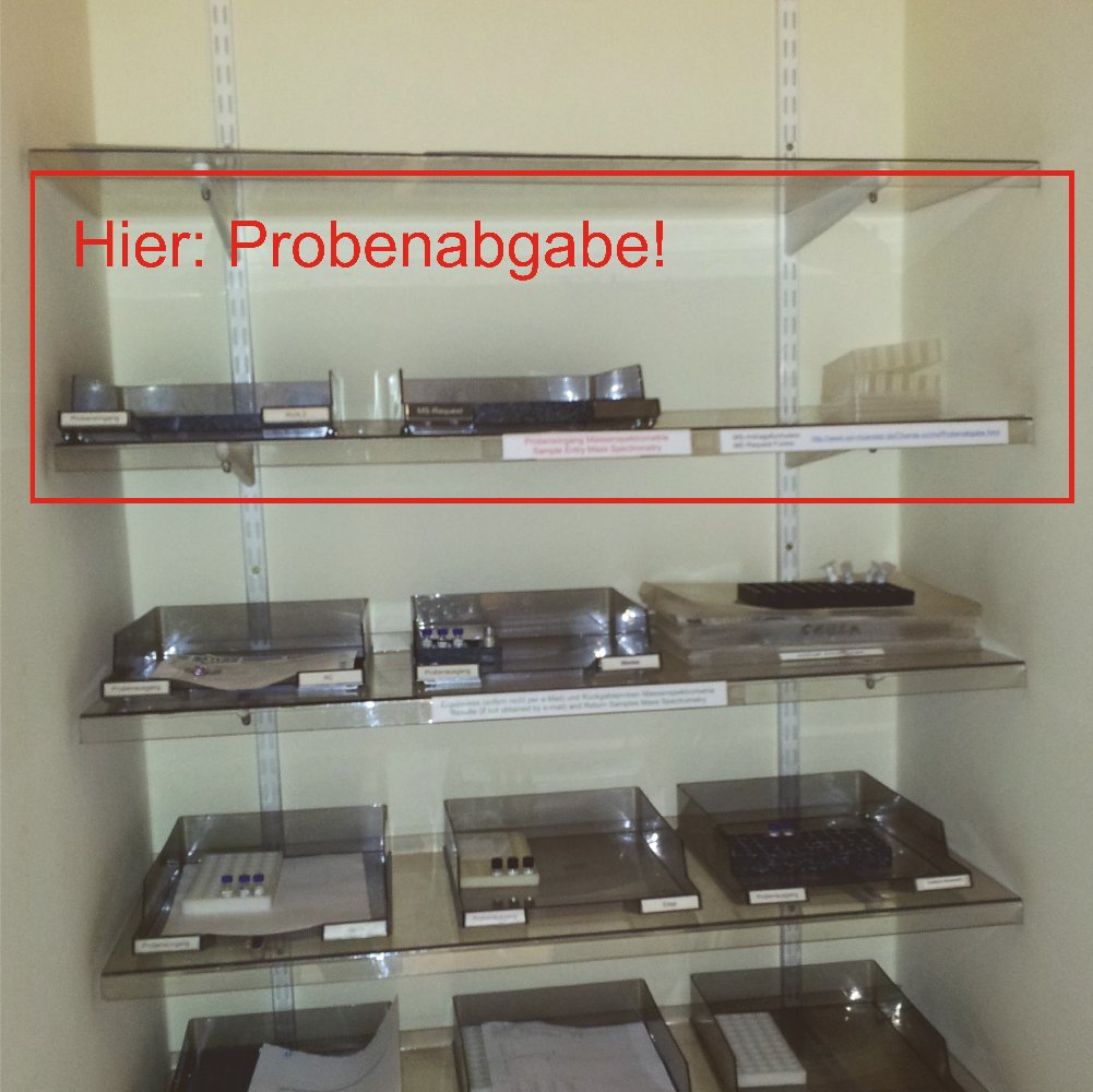 Probenabgabe, Massenspektrometrie, Organisch-Chemisches Institut der ...