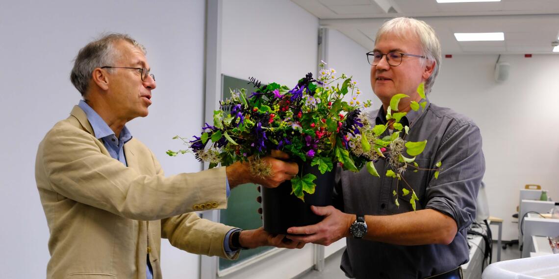 Institut für Pharmazeutische Biologie und Phytochemie
