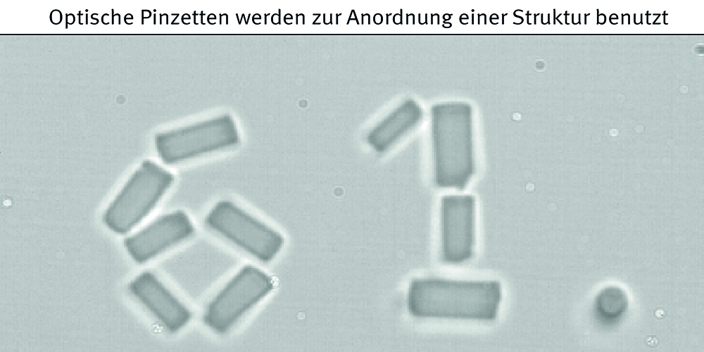 AG Denz - Teilchen fangen mit Licht