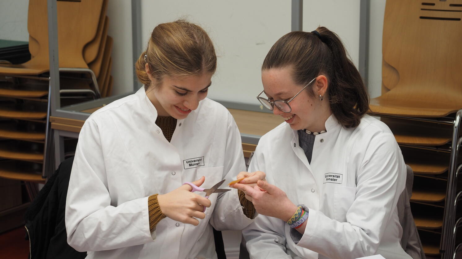 MExLab Physik - Ablauf 2026