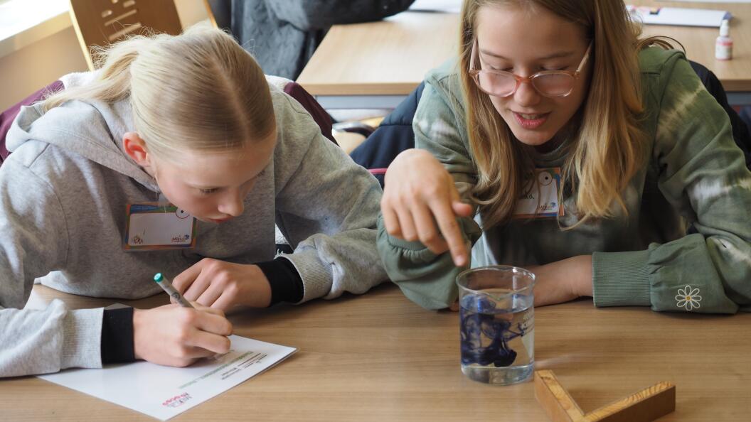 MExLab Physik - Startseite
