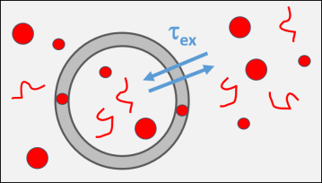 IPC - Colloidal Carriers - University of Münster