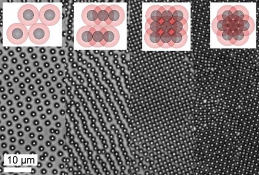 IPC - Research - University of Münster