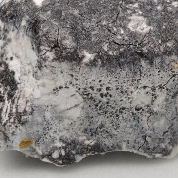 Institut für Planetologie