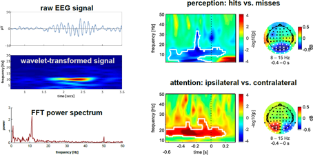 AE Busch - Forschung