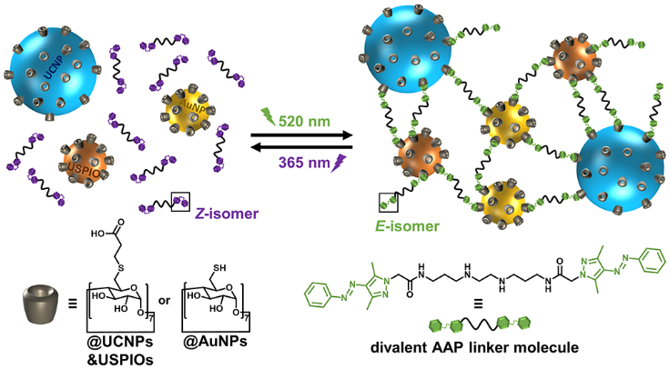Molecular self-assembly