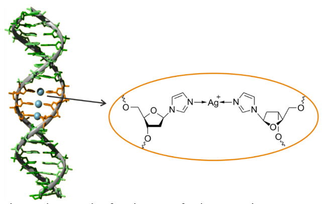 Synthetic nucleic acids