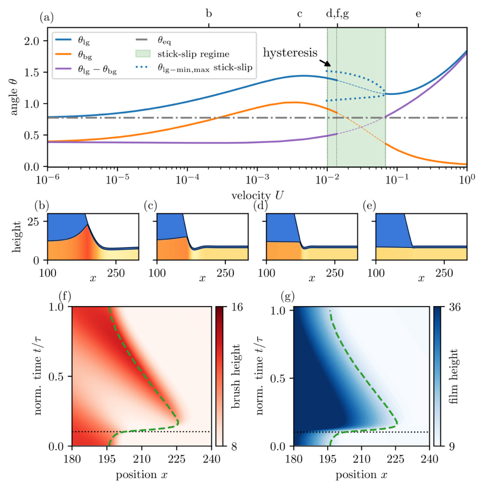 Interface-driven dynamics: Adaptive and active wetting phenomena