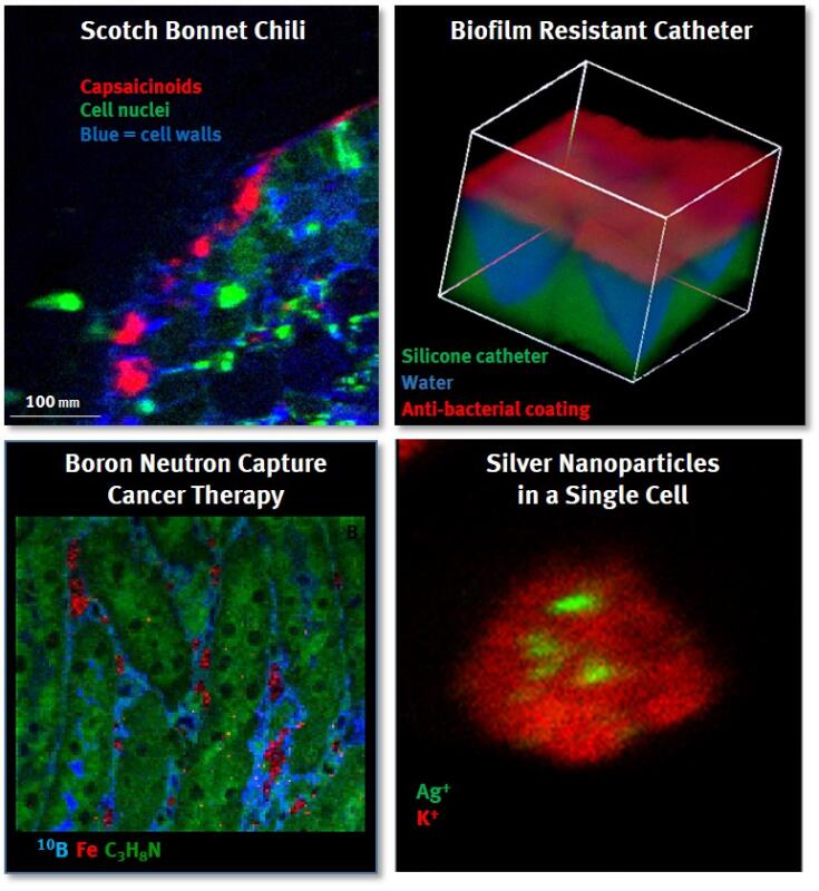 Imaging with theTof-SIMS