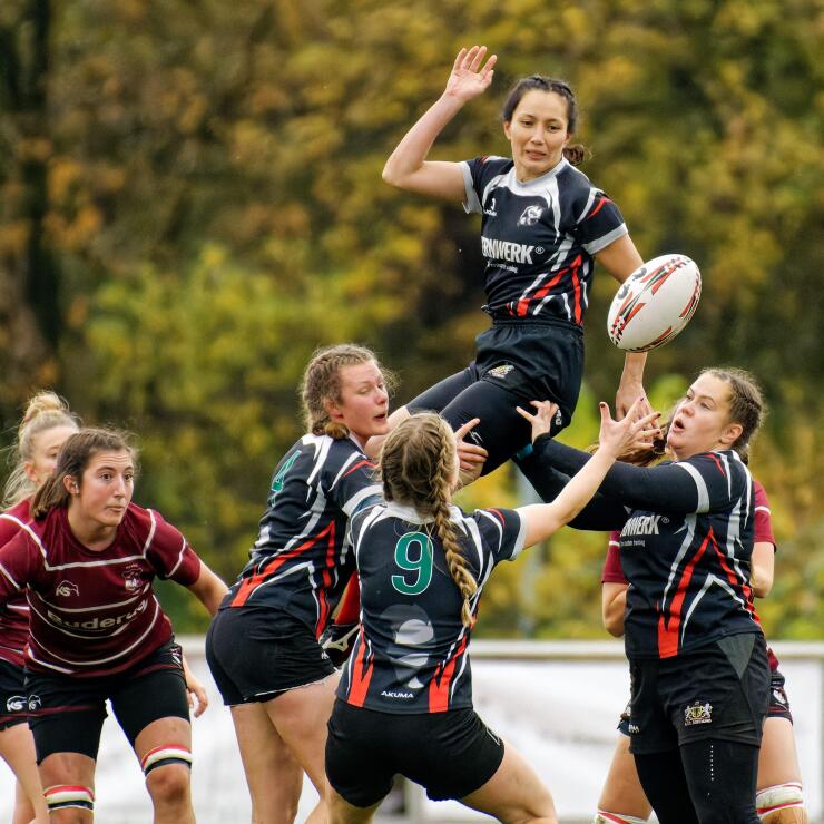 Sport and Exercise Sciences