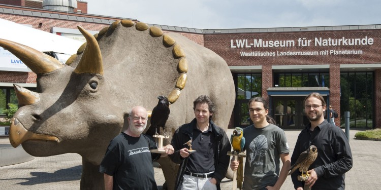 Dinosaurs did already hear the birds sing